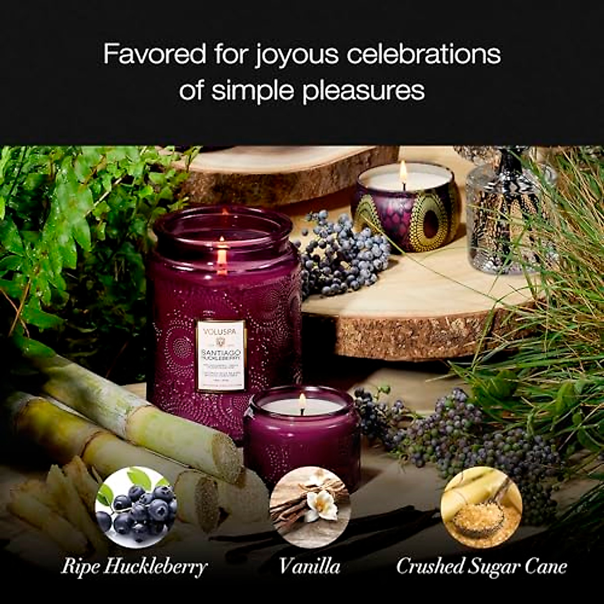 Voluspa Santiago Huckleberry, Large Candle Jar, 18 oz, 100 Hour Burn Time, All Natural Wicks and Coconut Wax for Clean Burning, Vegan, Poured in the USA