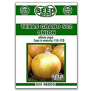 Texas Grano 502 Onion Seeds - 200 Seeds Non-GMO