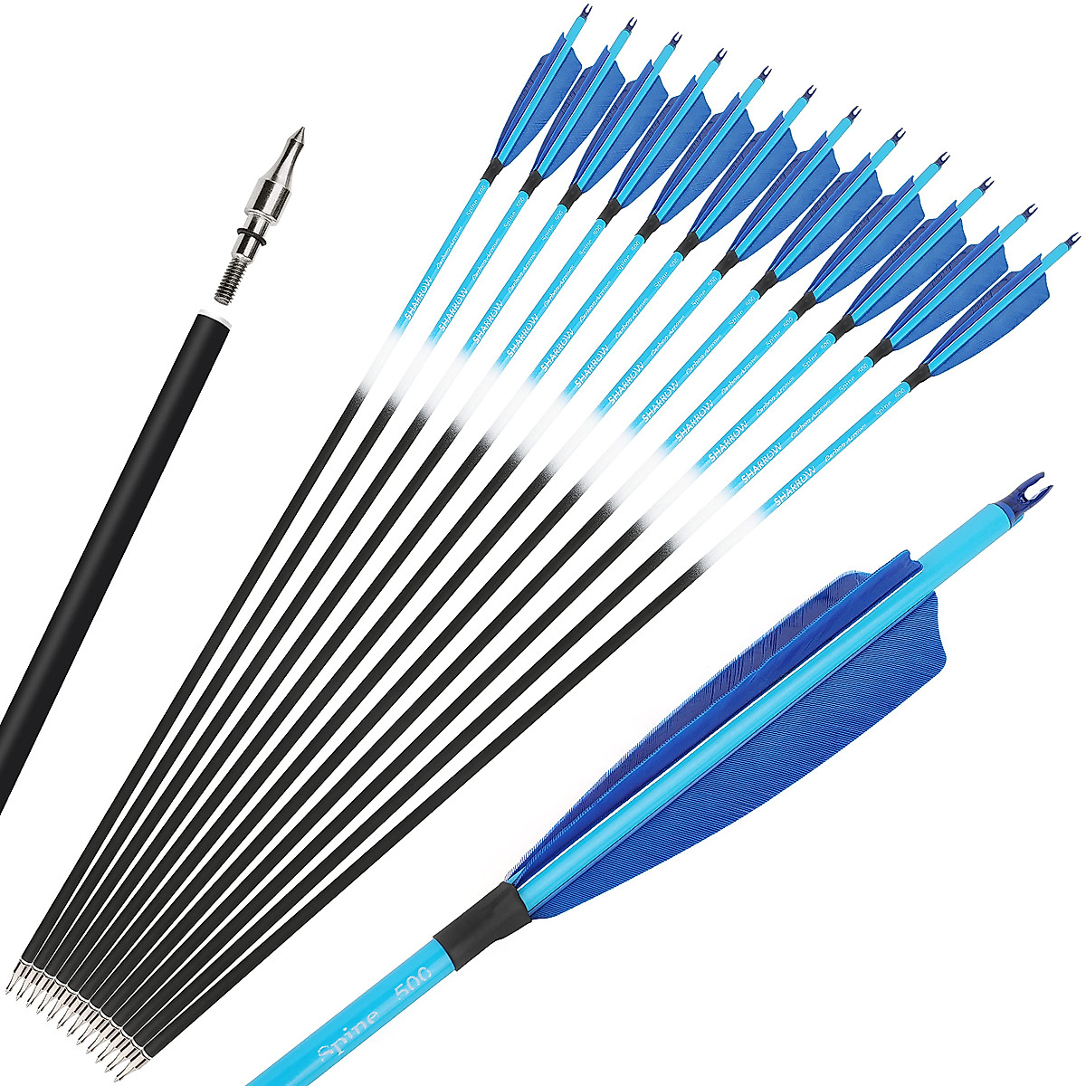AMEYXGS 12Pcs Archery 30Inch Carbon Arrow Target Practice Hunting Arrow Spine 500 with 5inch Shield Turkey Feather Removable Tips for Traditional Recurve Compound Bow Longbow (Blue, 12)