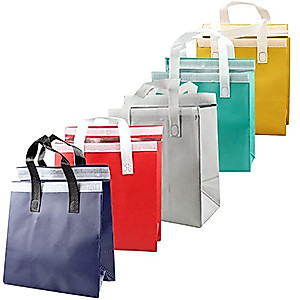 AIVYGDEN 60pcs Insulated Take Away Bags,Thermal Insulation Food Bag for Coffee,Milky Tea,Take-away Dinner,Fresh Seafood,Cold or Warm Food drive for Restaurant,Retail Store or Picnic/BBQ (five colors)