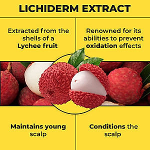 MEDIALL Hair Treatment | Intensive Oil Serum for Men & Women with Dry, Damaged Hair Growth | Breakage Repair, Frizz Ease & Smoothing (Pack of 1, 1.85 Fl oz.)