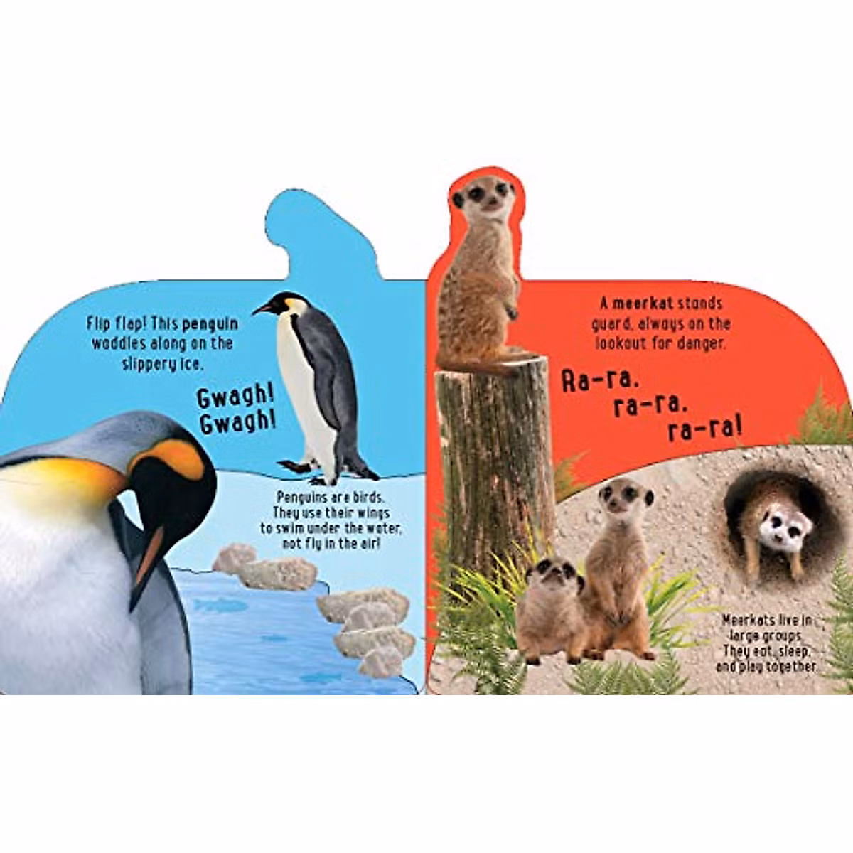 Discovery: Roar at the Zoo! (10-Button Sound Books) (Image on Book may slightly vary)