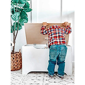 Wildkin Kids Toy Box for Boys and Girls, Features Safety Hinge and Solid Wood Top, Helps Keep Toys, Games, Books, and Art Supplies Organized in Your Child's Bedroom or Playroom (Gray) , Gray Fog