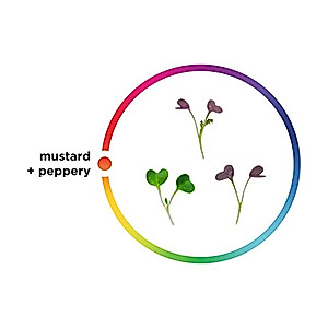 AeroFarms Micro Spicy Mix, 2oz