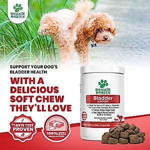 Doggie Dailies Cranberry Supplement for Dogs, 225 Soft Chews, Urinary Tract, Bladder & Kidney Support for Dogs, Cranberry for Dogs with Marshmallow Root, Licorice Root & Apple Cider Vinegar (Bacon)