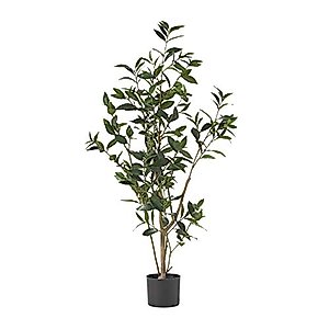 Christopher Knight Home 313916 Artificial Plants, 4' x 1.5', Green