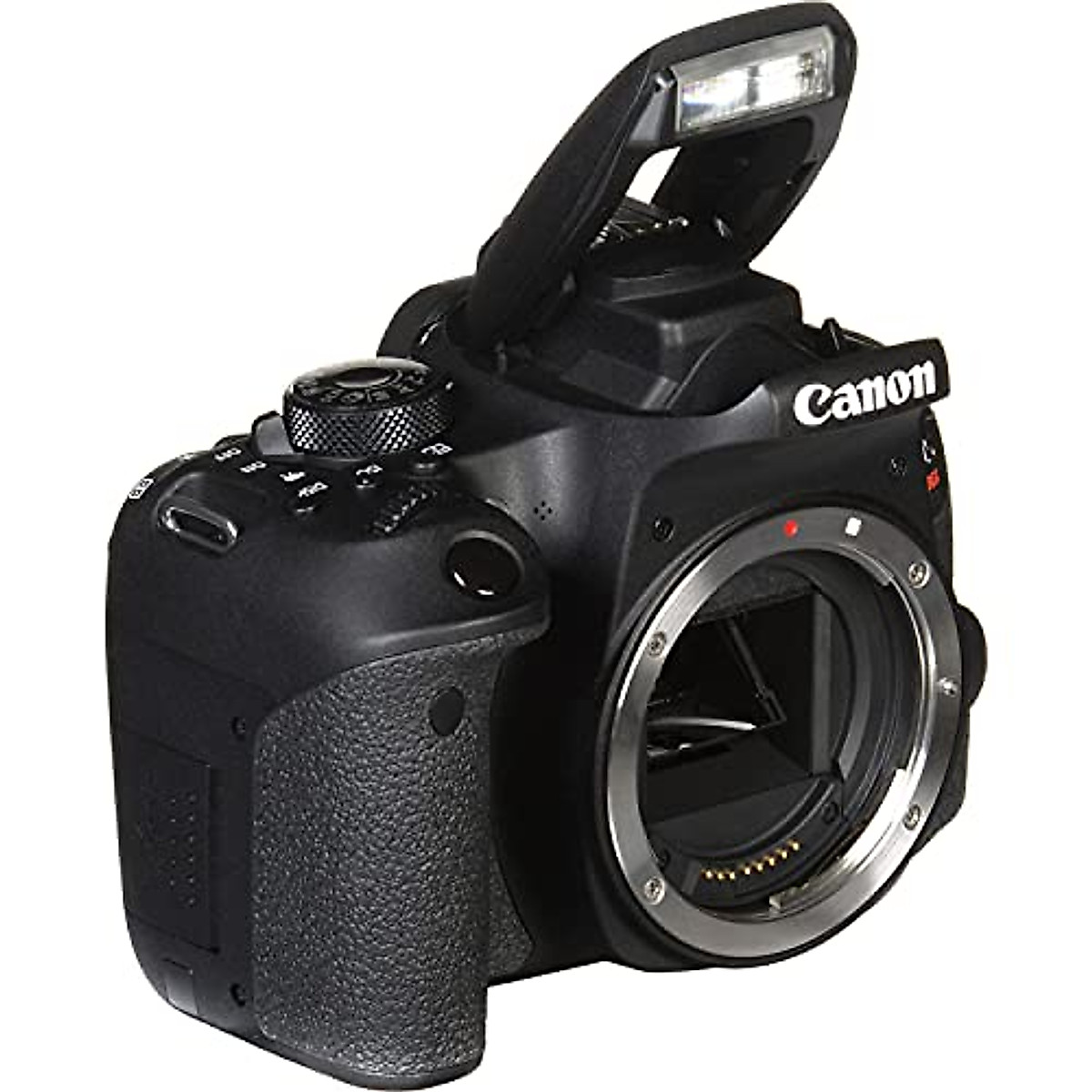 Canon EOS Rebel 800D / T7i DSLR Camera (Body Only) + Canon EF 50mm Lens + 64GB Card + Case + Corel Photo Software + 2 x LPE17 Battery + External Charger + Card Reader + More (Renewed)