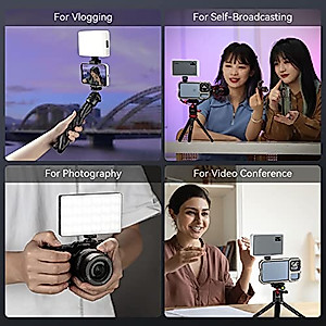 SmallRig RM120 5000mAh Camera Light Panel RGB Video Light Professional LED On Camera Video Light Portable Lights for Photography 2500K-8500K 98+ CRI Full Color for TikTok,Video Conference 3808