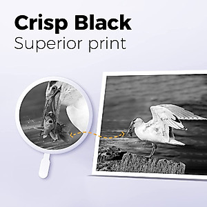 myCartridge 206X Toner Cartridges 4 Pack High Yield (with Chip) Compatible Replacements for 206A 206X HP Toner Cartridge Set for HP Color Laserjet Pro MFP M283fdw M283cdw M282nw M255dw，W2110X W2110A