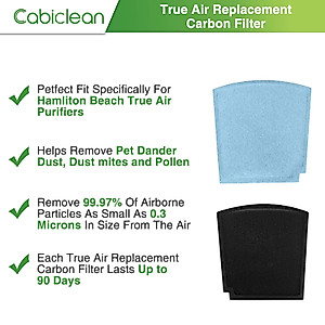 True Air Replacement Carbon Filters Compatible with Hamilton Beach Pet TrueAir Purifier Odor Eliminators Model 04384, 04386, 04532GM, 04530G, 04530GM & 04531GM,Compared to part #04234G (10-Pack)