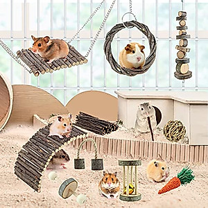 YIXUND Hamster Toys Rat Toys Chinchilla Toys Hamster Chew Toys Cage Accessories Apple Wood Sticks Ladder Bell Roller for Gerbil Guinea Pigs and Other Small Animal
