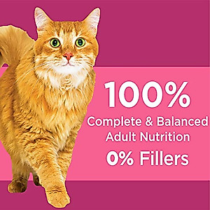 IAMS PROACTIVE HEALTH Adult Urinary Tract Healthy Dry Cat Food with Chicken Cat Kibble, 16 lb. Bag
