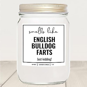 YouNique Designs Smells Like English Bulldog Farts Candle 8 oz - English Bulldog Gifts for Bulldog Lovers - Bulldog Lover Gifts Dog Farts Candle - Funny Bulldog Themed Gifts (Lavender & Vanilla)