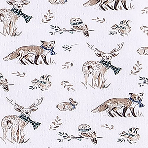 Eddie Bauer - Queen Sheet Set, Warm Breathable Cotton Flannel Bedding with Deep Pockets, Brushed for Extra Softness, Cozy Home Decor, Oeko-Tex Certified (Woodlands Friends, Queen)