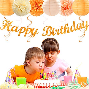 Orange-Beige Fal Boho Birthday Party-Decorations - 21pcs Autumn One Two Sweet Peach Happy Banner,Girls Groovy Paper Streamers Lanterns Honeycomb,Tissue Pom Poms Fan,Hippie Garland Decor Huglony