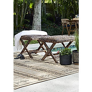 Momeni Hampton Transitional Indoor/Outdoor Area Rug, Natural, 4'1" X 6'