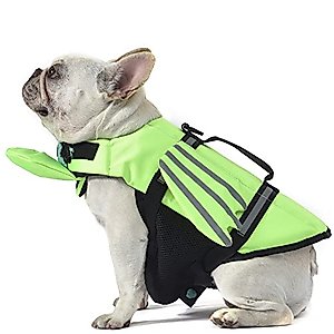 Petglad Dog Life Jacket, Wings Design Pet Life Vest, Reflective Dog Flotation Swim Vest with Chin Float for Pool Beach Boating Surfing Swimming, for Puppy Small Medium Large Size Dogs (Green, S)