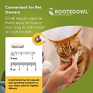 Rooted Owl Natural Supplements Joint & Muscle Health Capsules - Hip and Joint Supplements for Cats and Small Dogs with UC-II Type II Collagen and L-Carnitine - 30/ct