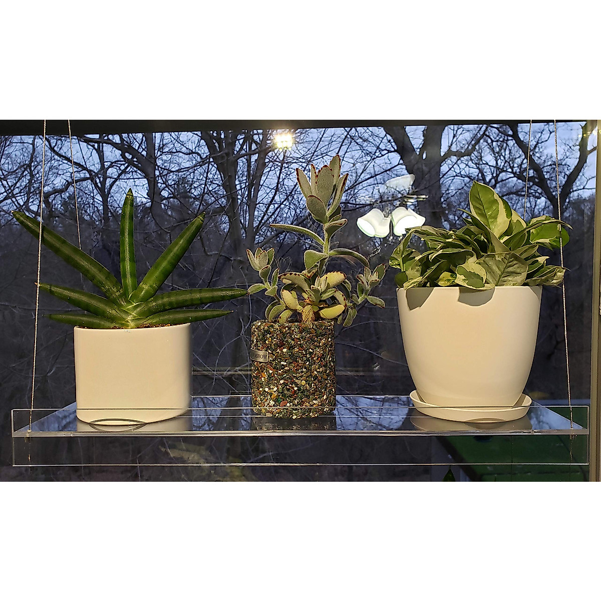 SUPREMETECH Hanging Acrylic Shelves for Windows (34" Wide, 1 Shelf - 26" Tall)