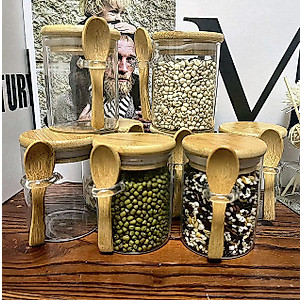 Livejun 8 oz Airtight Mini Glass Jars with Bamboo Lids and Bamboo Spoons , Spice Jars Small Food Storage Containers for Kitchen, Bathroom, Home Decor Set of 8