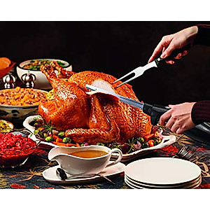 Hamilton Beach Electric Knife for Carving Meats, Poultry, Bread, Crafting Foam and More, Storage Case and Serving Fork Included, Black