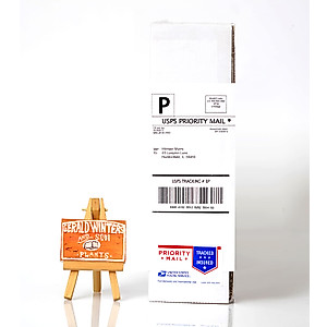 Gerald Winters and Son Key Lime Tree Starter Plant . Citrus aurantifolia. 3” - 5”