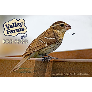 Valley Farms Cardinal Mix Wild Bird Food for Outside Feeders, Bird Seed with Black Oil Sunflower Seeds and Safflower Seeds, Attract a Variety of Wild Birds, 3 LBS 2-Pack (6 LBS Total)