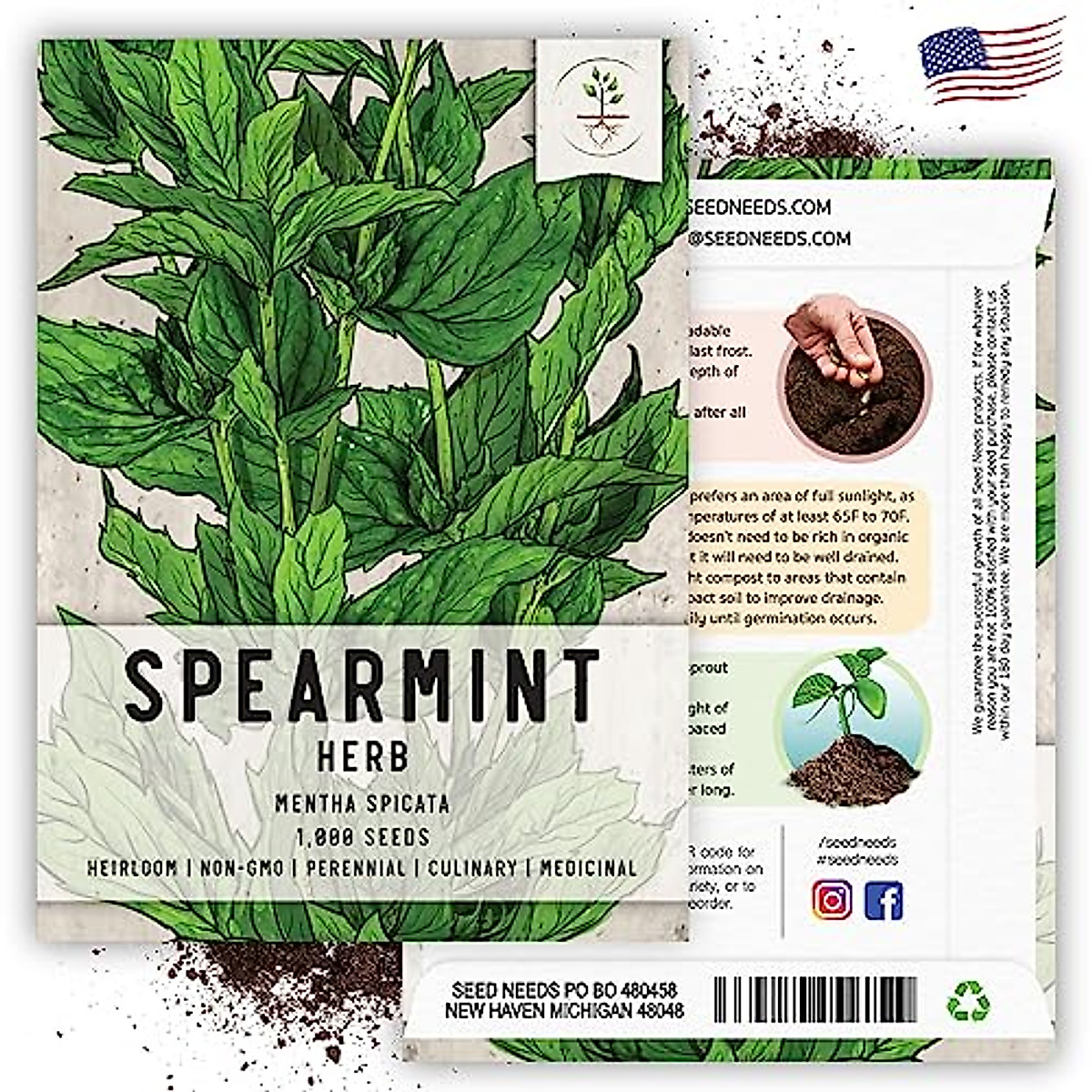 Seed Needs, Spearmint Herb Seeds for Planting (Mentha spicata) Heirloom, Non-GMO & Untreated