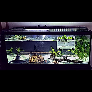 Large Fish Breeder Net with Suction Cups,Nylon Mesh Fish Fry Hatchery Breeder Isolation Box Separation Net for Fish/Plants/Shrimp Fish on Aquarium Tank