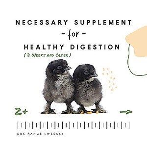 Manna Pro Chick Grit | Digestive Supplement for Young Poultry and Bantam Breed | Probiotics to Support Digestion | No Artificial Ingredients or Preservatives | Insoluble Crushed Granite | 5 Pounds