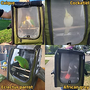 Birds Day Bird Carrier Backpack-Parrot Travel Cage with Perch and Food Bowl, Stainless Steel Tray (Dark Olive Green)