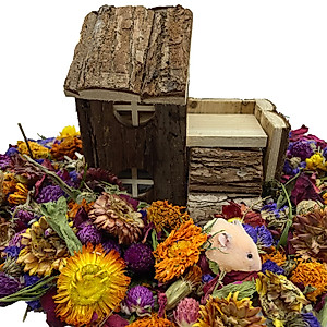 Tfwadmx Hamster Substrate Natural Flower Bedding Mate Habitat Decor for Dwarf Syrian Hamsters Mice Degus Gerbils Bunny or Other Small Animal