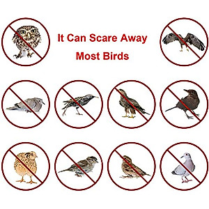 SUJAYU Bird Scare Tape, 2 Pack 1''x260FT Red Spiral Double Sided Repellent Deterrent Reflective Tape for Scaring Birds Away… (Red)