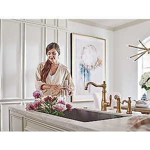 Moen Brushed Gold Sip Traditional Cold Water Kitchen Beverage Faucet with Optional Filtration System, S5510BG