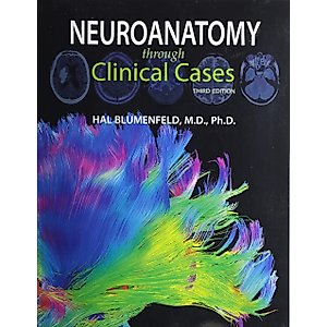 Neuroanatomy through Clinical Cases