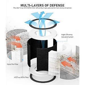 WeGuard HEPA Replacement Filters Compatible with WeGuard K300 Air Purifier, 3-in-1 Filtration System, H13 Grade True HEPA and Activated Carbon Filter Set