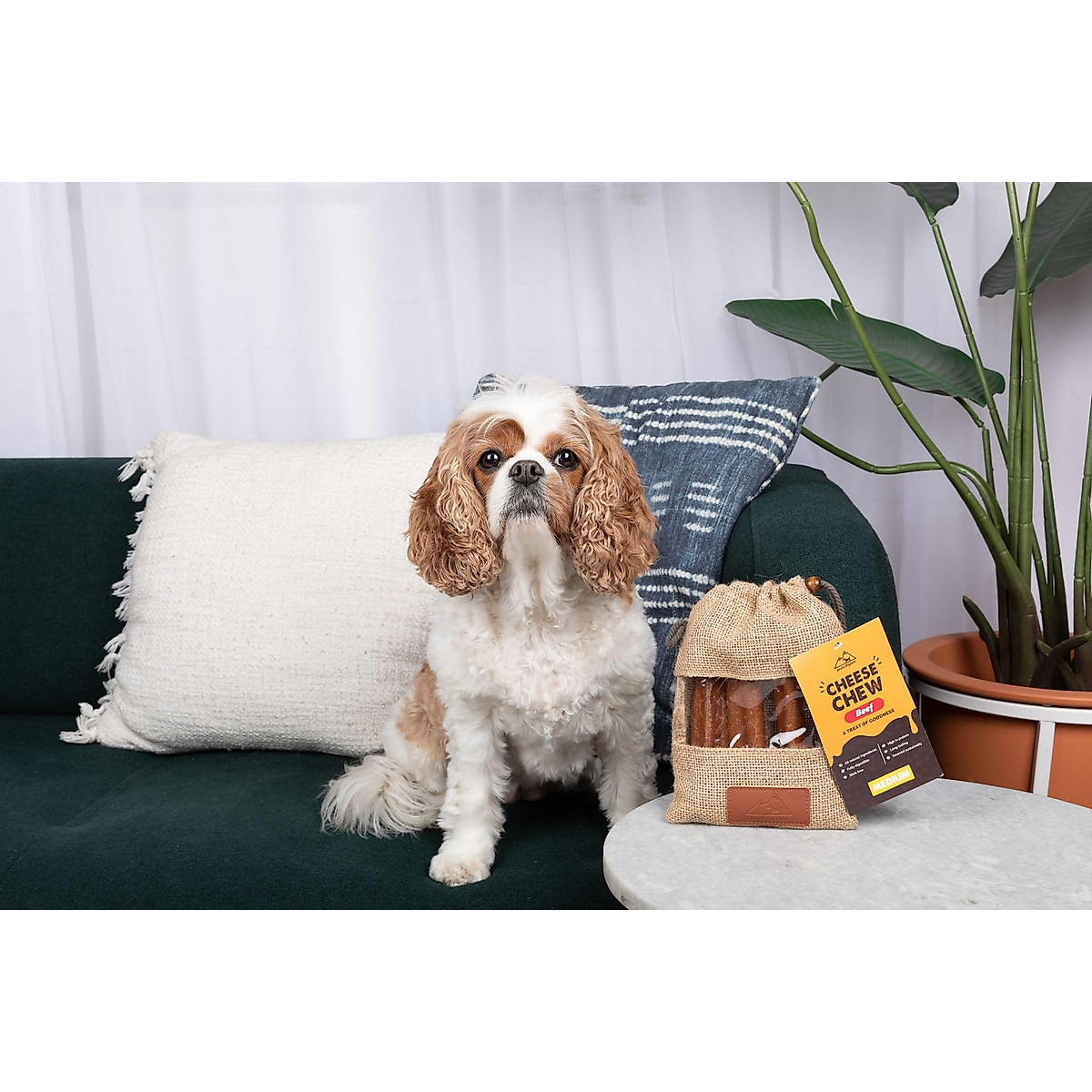 peaksNpaws Premium Cheese Chews -All Natural - 100% Digestibility - Grain, Gluten & Stink Free - Low in Fat, High in Protein - Medium Value Pack Beef Flavor