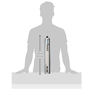 BevGuard BGE-4200 Carbon Block Cartridge, 2.9 GPM, 0.5 Micron, White