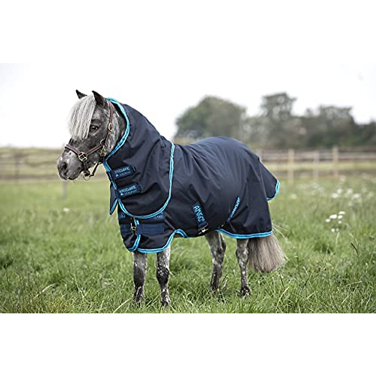 DWJ Horse Turnout Blanket, Sun Protection Turnout Blanket Waterproof Windproof Tear-Proof Horse Turnout Rug