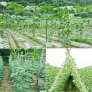 HHTHH White Trellis Netting 5x100 ft Heavy Duty Garden Trellis Netting Polypropylene Plant Support Garden Net for Climbing Vegetables Fruits Flowers