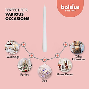 BOLSIUS Unscented 10 Inch Dinner Candles, 10 Pack - 8 Hour European Quality Smokeless Dripless Taper Candles for Home Décor