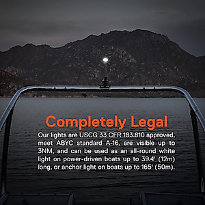 TRUE MODS 12 Inch 12-24V White LED Marine Navigation Anchor All-Round Boat Light [USCG ABYC A-16 3NM] [Waterproof] 3 Nautical Mile Fold Down Rear Stern Light for Fishing Bimini Bass Jon Boat - Chrome