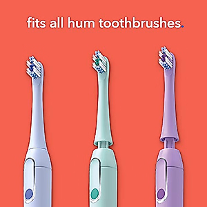 Colgate Hum Connected Smart Battery Toothbrush Refill Head, Blue, 2 Pack