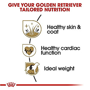 Royal Canin Golden Retriever Adult Dry Dog Food, 30 lb bag