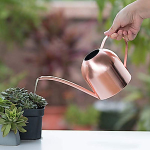 shlutesoy 500ML Stainless Steel Long Spout Home Garden Bonsai Plant Flower Watering Can Rose Gold