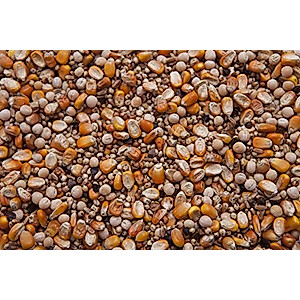 Regular Pigeon Mix (12%) 8 lbs