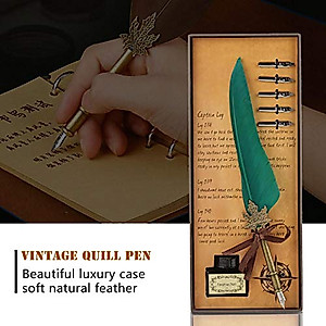 Fountain Pens, Handmade Dip Pen English Calligraphy Feather Dip Quill Pen Writing Ink Set with 5 Replacement Metal Nibs and Pen Nib Base for Stationery(Green)