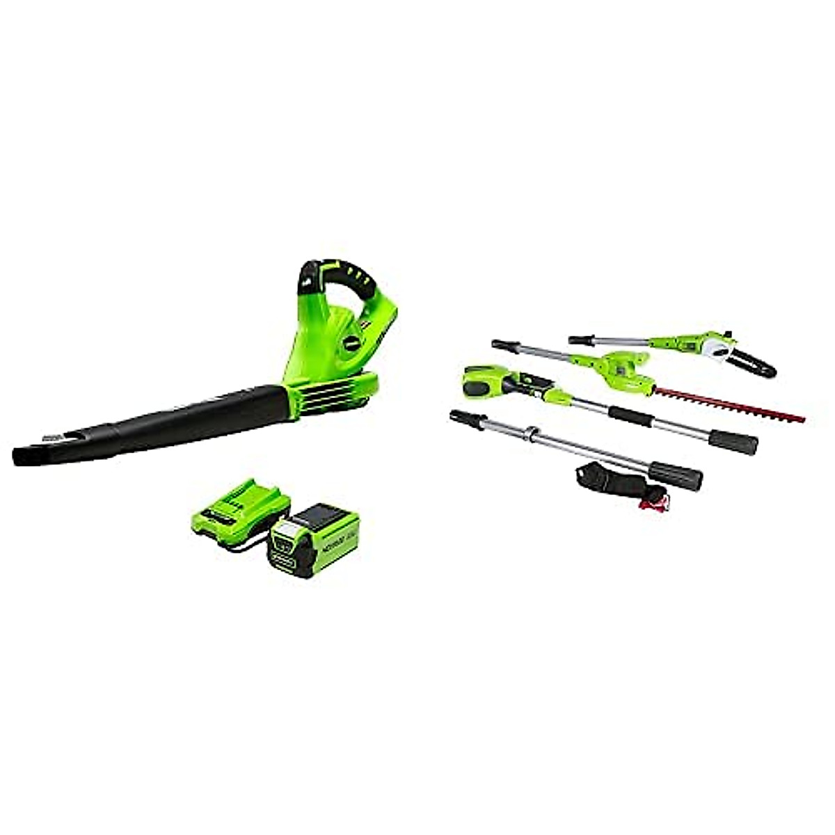 Greenworks 40V Leaf Blower and Pole Saw Combo Kit,2.0Ah Battery and Charger Included