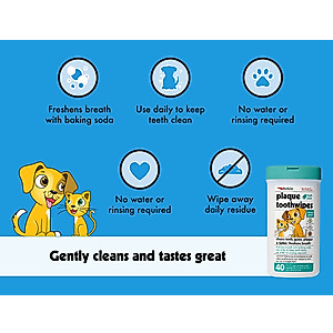 Petkin Cat and Dog Dental Wipes, 40 Wipes (Fresh Mint) - Natural Formula Cleans Teeth, Gums & Freshens Breath - for Daily Use - Convenient Dog Dental Care - 1 Pack of 40 Wipes