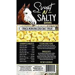 Kalmbach Feeds Sweet N Salty Banana Flavored Salt Treat Brick for Horses, 4 lb